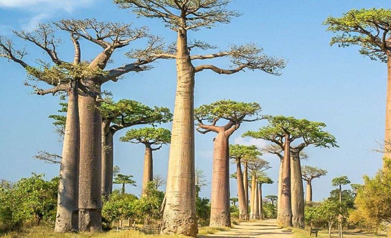 Climate & Geography | Discover Senegal